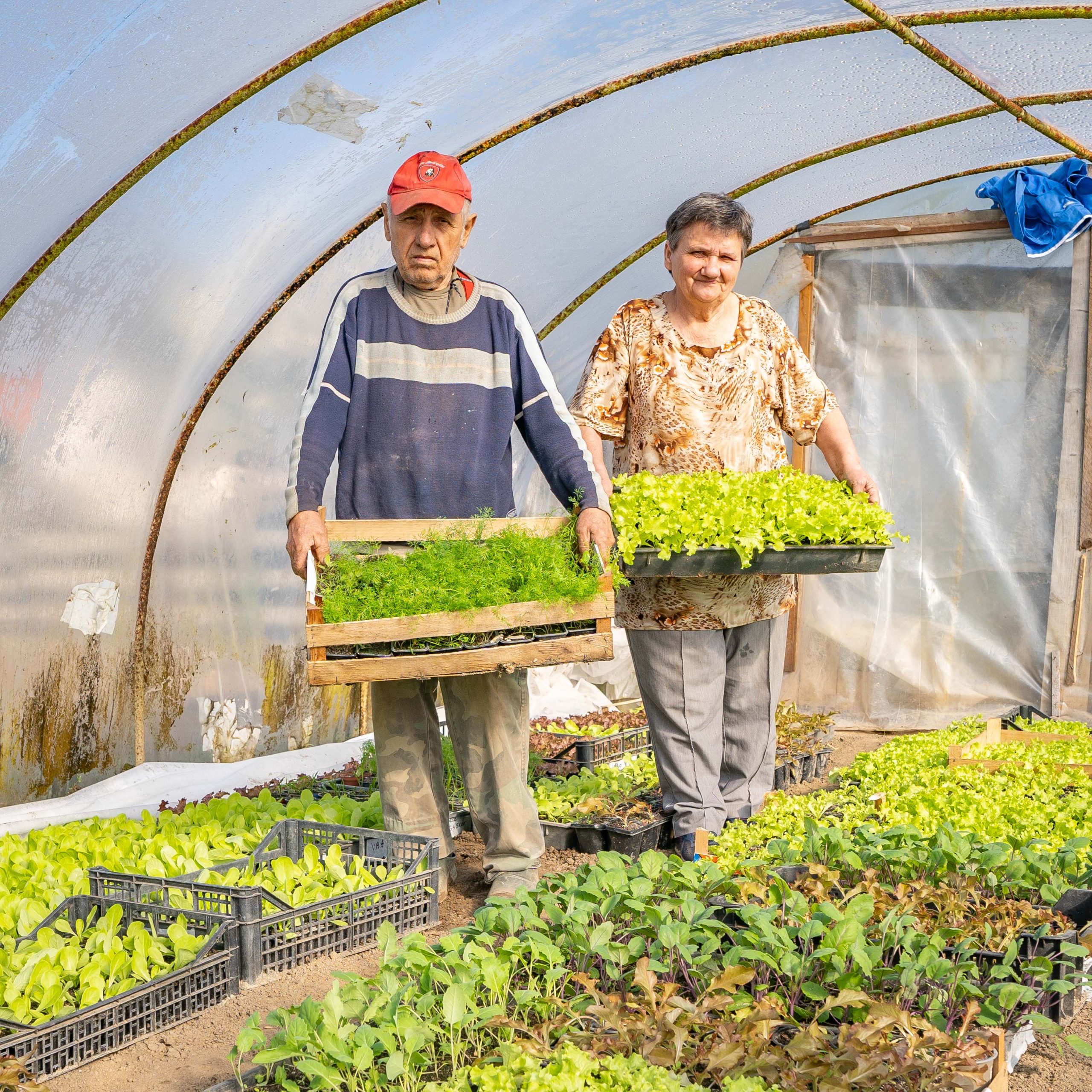 Ízek és történetek: a rákból is meggyógyult, hogy folytathassa a ...