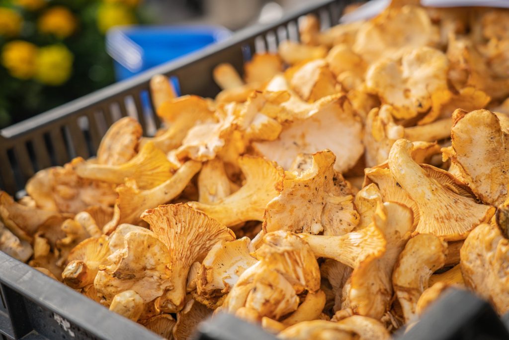 Frissen szedett és termesztett gomba is az Esztergomi Piacon ...